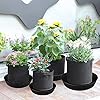 Amazon.com : Plant Saucer 10 12 14 16 18 20 25 Inch Extra-Deep Plant ...