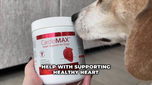 Watch Cardiomax Heart Support Supplement for Dogs on Amazon Live