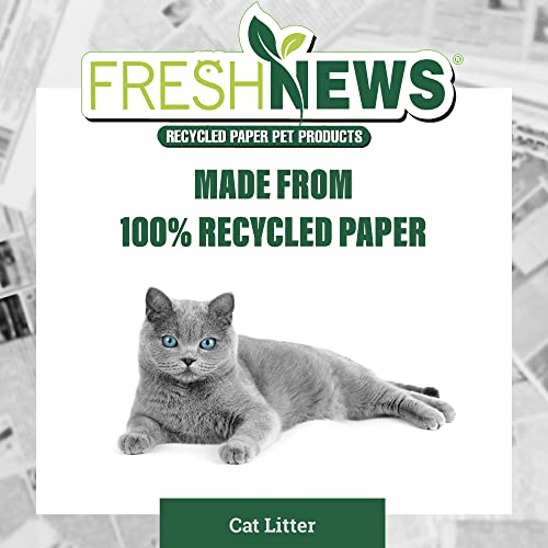 The 30 Best Paper Cat Litter of 2024 [Verified] - Cherry Picks