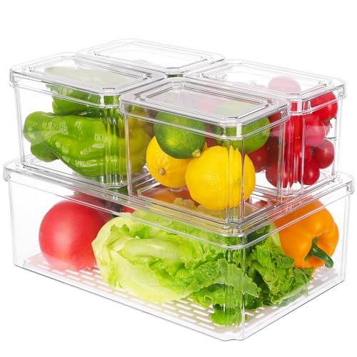 Fridge Boxes – The 16 best products compared - Outdoors Magazine