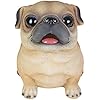 Amazon.com : WAIT FLY Cute Pug Dog Shaped Resin Piggy Bank Coin Bank ...