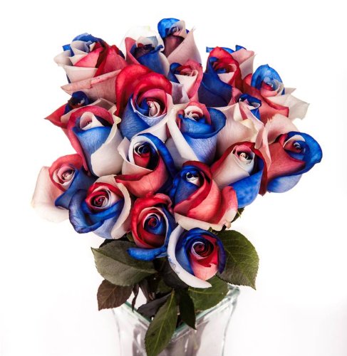 Blue And Red Roses Bouquet