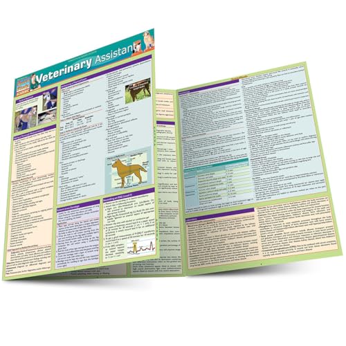 Amazon.com New Releases: The best-selling new & future releases in C++ ...