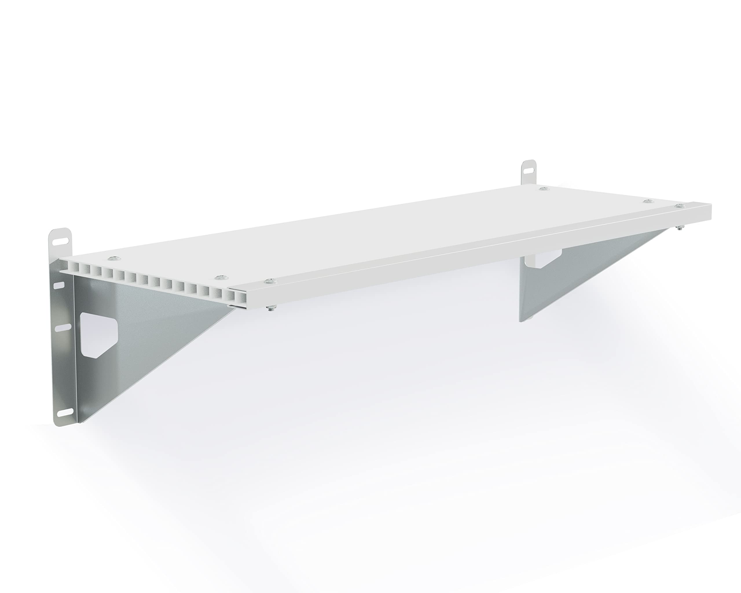 Amazon.com : Palram - Canopia Skylight Storage Shed Shelf : Patio, Lawn ...