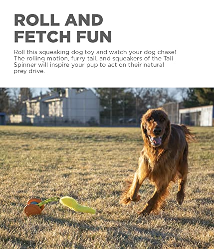 Snapklik.com : Outward Hound Tail Spinner Squeaky Dog Chase Toy