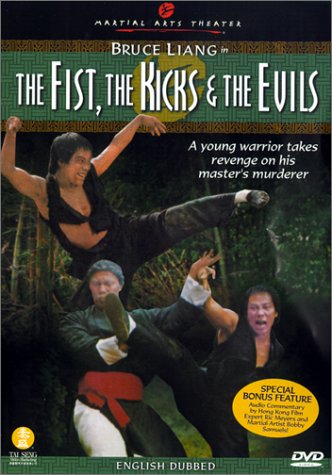 Fist Kicks & Evil S [USA] [DVD]: Amazon.es: Películas y TV