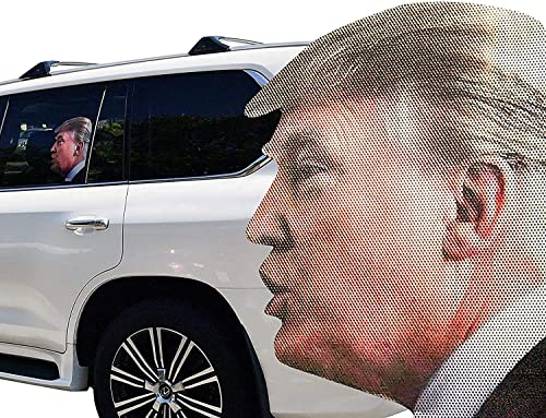 Top 10 Best Donald Trump Window Cling : Reviews & Buying Guide - Katynel