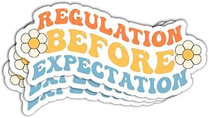 Amazon.com: LECATI (3Pcs) Regulation Before Expectation Retro ...