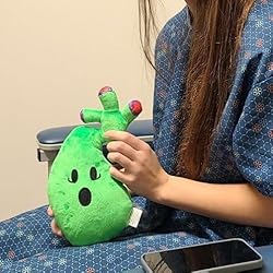 Amazon.com: Attatoy Gallbladder Plush, Body Organ Stuffed Toy Complete ...