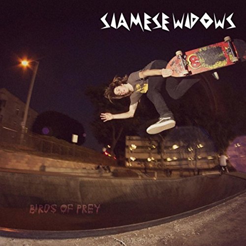 Amazon.com: Birds Of Prey (Doug Grean Mix) : Siamese Widows: Digital Music