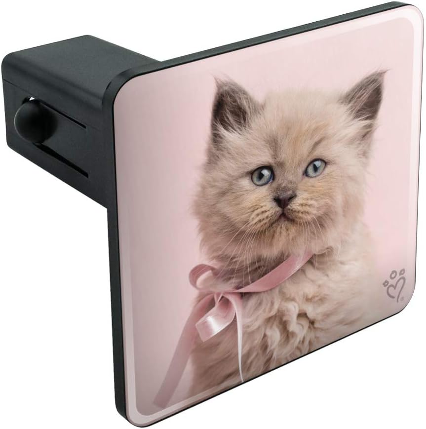 Amazon.com: GRAPHICS & MORE Miradoll Ragdoll Cat Kitten Pink Ribbon Bow ...