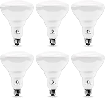 Energetic BR40 LED Light Bulbs, Indoor Flood Light, Dimmable, 3000K ...