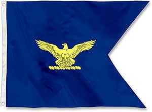 Amazon.com : Bayyon Double Sided Custom Aerial Port Squadron Guidon ...