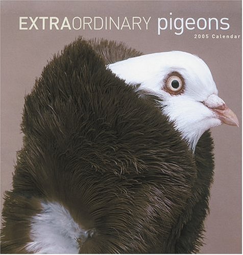 Extraordinary Pigeons 2005 Calendar: Amazon.co.uk: 9780810979673: Books