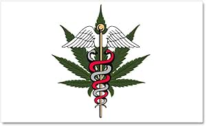 Amazon.com: Car Magnet 20 x 12 Inch Medical Marijuana Caduceus Symbol ...