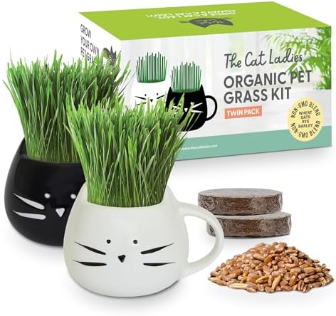 Amazon.com : The Cat Ladies Cat Grass Growing Kit with Organic Cat ...