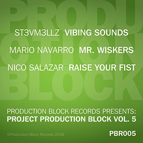 Play Project Production Block, Vol. 5 by Mario Navarro, St3vm3llz ...