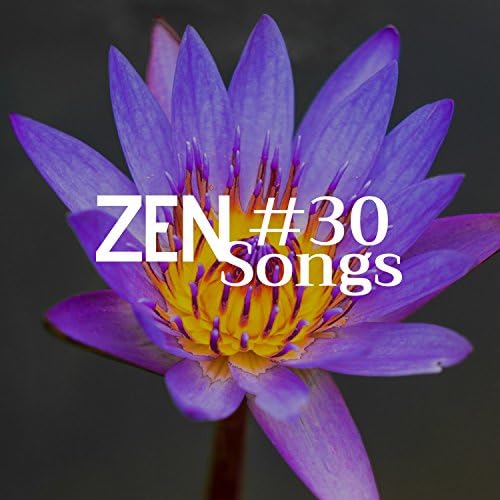 Play #30 Zen Songs - a Collection of Relaxing Music and Nature Sounds ...