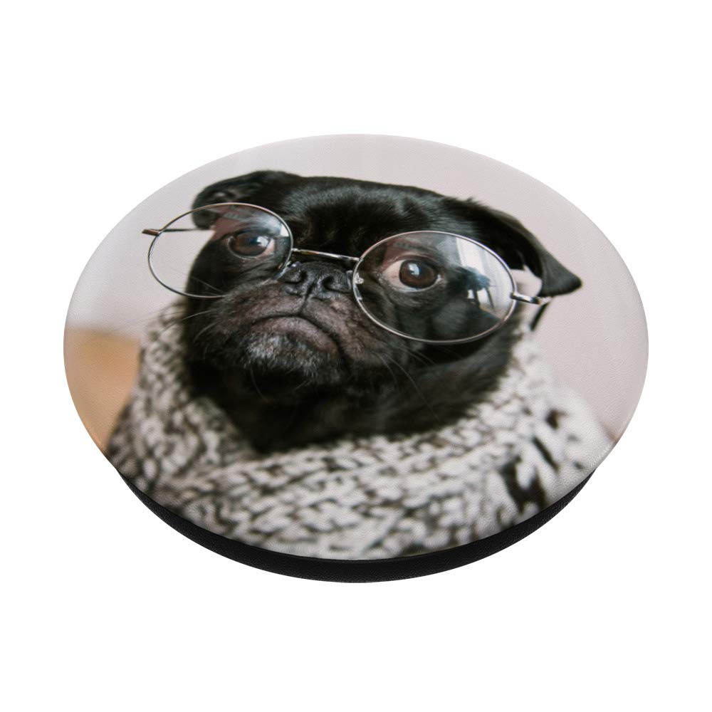 Pugs With Glasses