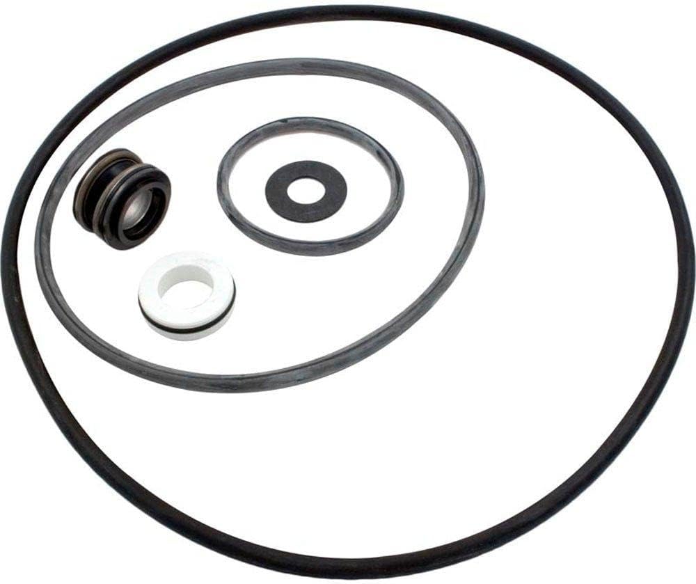 Amazon.com: Pentair PP4012 Overhaul Replacement Kit Sta-Rite Pool and ...