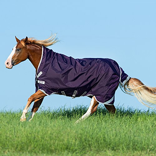Horseware Rambo Wug – Die 15 besten Produkte im Vergleich - Reiterguide ...