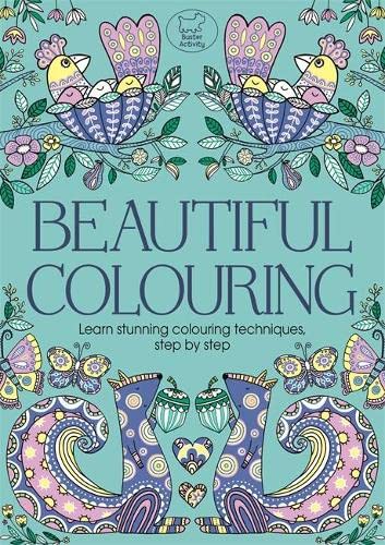 Beautiful Colouring (Colouring Books): Wilde, Cindy: 9781780553733 ...