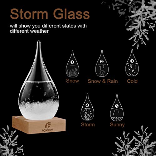 Storm Glass Barometers Storm Cloud Weather Forecast Bottle, Weather ...
