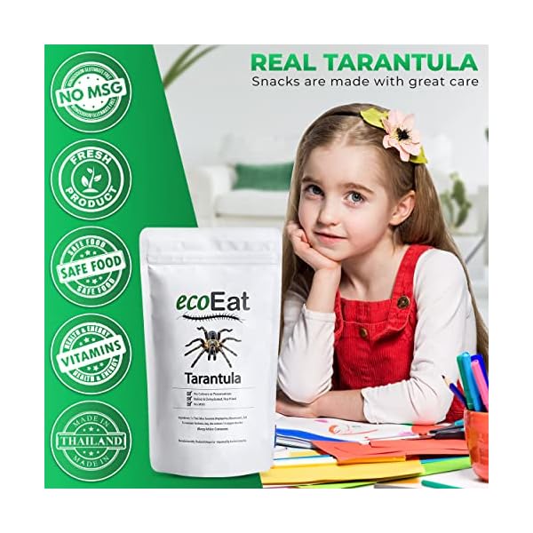 ecoEat Edible Tarantula Spider - 100% Edible Bug Edible Dehydrated ...