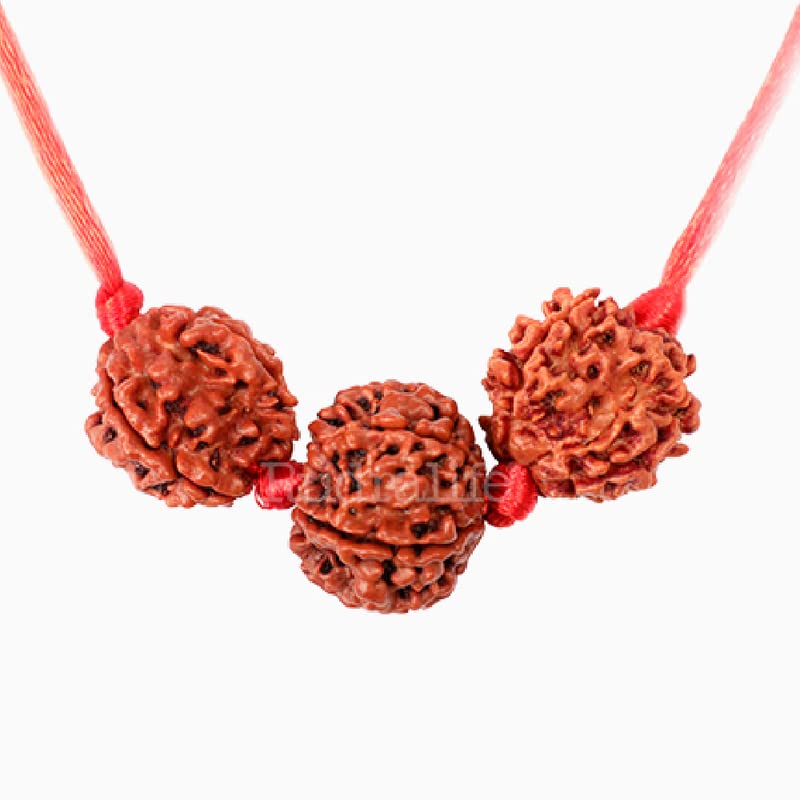Rudraksha mala for Students | Saraswati Bandh | 4 & 6 Mukhi Rudraksha ...