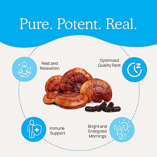 Real Mushrooms RealRest - Cápsulas de Reishi para Relaxamento (60 unid ...