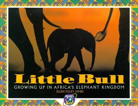 Little Bull: The Story of Little Bull: James, Ellen: 9780806920986 ...