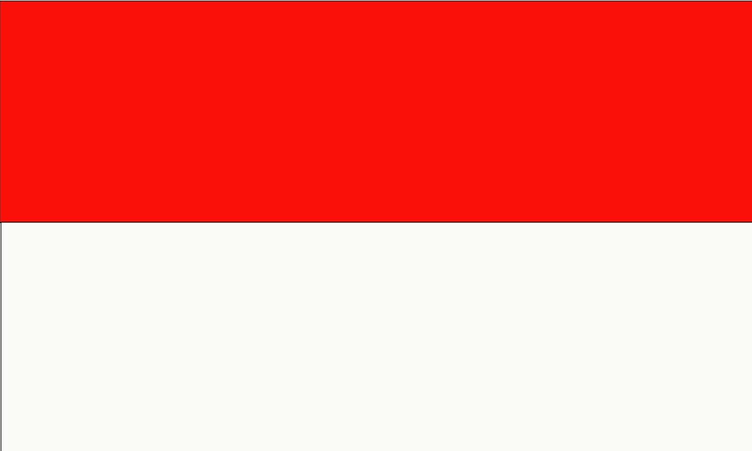 Amazon.com : magFlags Large Flag Department of Tarija in Bolivia | flag ...