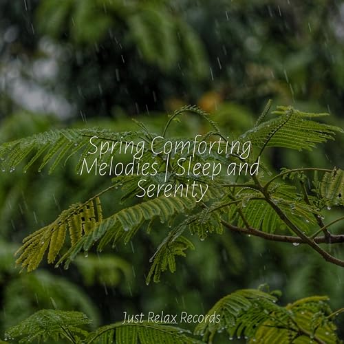 Play Spring Comforting Melodies | Sleep and Serenity by Anxiety Relief ...