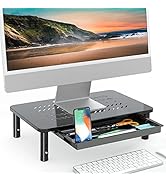 FITUEYES 2 Tiers Monitor Stand Wood PC Laptop Computer/TV Screen Riser ...
