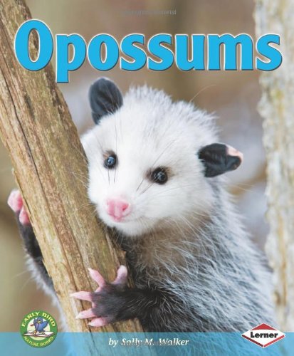 Opossums (Early Bird Nature Books): Walker, Sally M.: 9780822530558 ...
