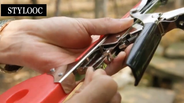 Watch How to Use Plant Vine Tying Machine Tapener Tool on Amazon Live