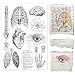 Amazon.com: GLOBLELAND Human Body Silicone Clear Stamp Spine Brain ...