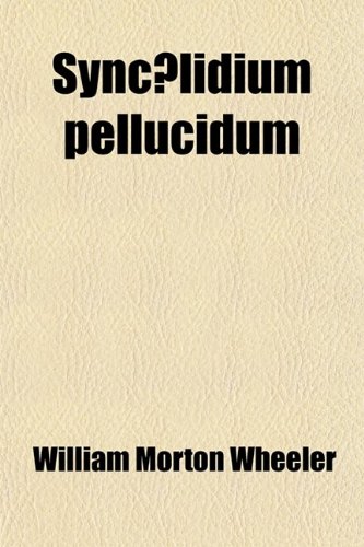 Sync Lidium Pellucidum; A New Marine Triclad : Amazon.in: Books