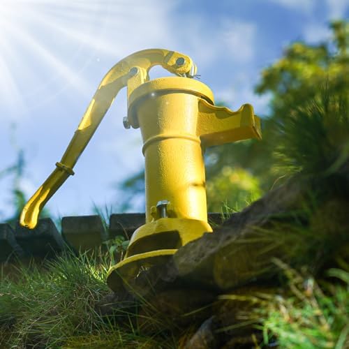 6699 Cast Iron Pitcher Pump Antique Manual Hand Shake Suction Well Pump ...