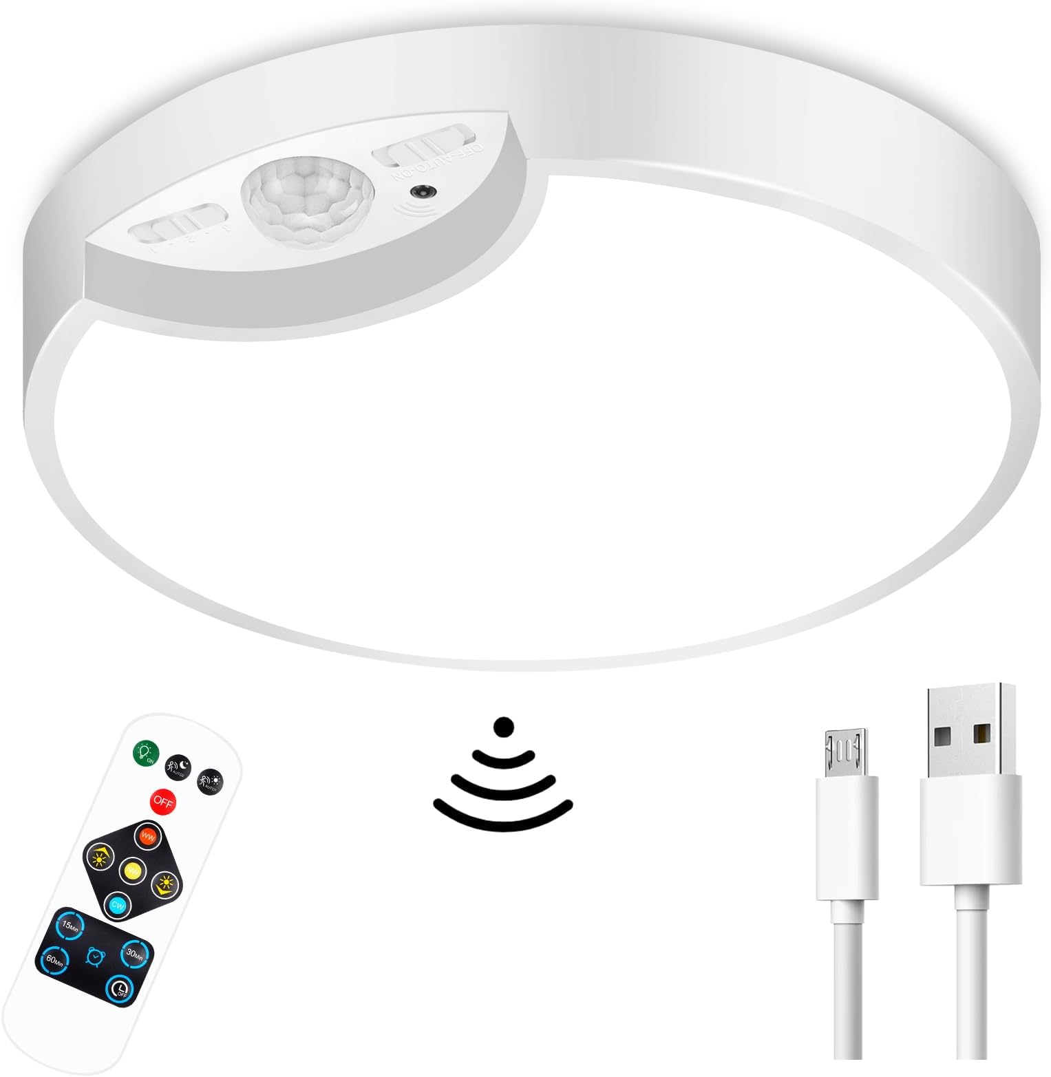 Amazon.com: Battery Operated Ceiling Light with Remote, LED USB ...