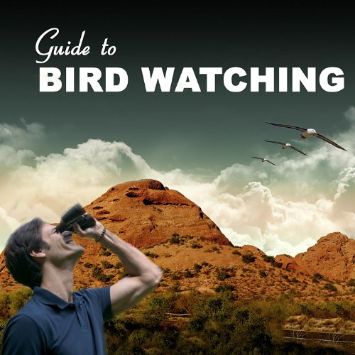 Play Guide To Birdwatching - Everything You Need To Know About Birds ...