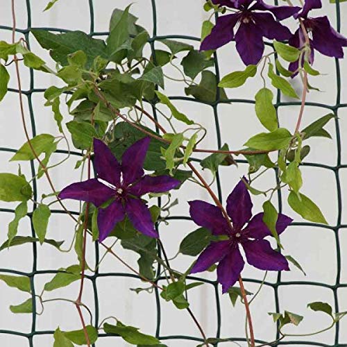 Garden Mile Climbing Plant & Fencing Garden Mesh Outdoor Indoor Fencing ...