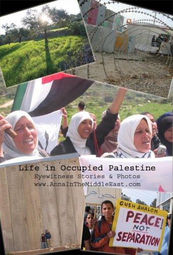 Amazon.com: Life in Occupied Palestine: Eyewitness Stories & Photos ...