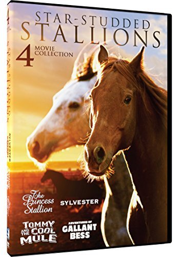 Amazon.com: Star-Studded Stallions - 4 Heartwarming Horse Films ...