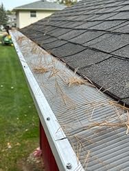 Raptor Gutter Guard – 48 FT. (Nominal) Black All-Aluminum Gutter Guard ...