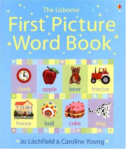 Amazon.com: First Picture Word Book: 9780794506452: Litchfield, Jo ...