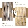 Amazon.com : Natural Reed Fencing Rolls,6FT X 16.4FT Reed Screen ...