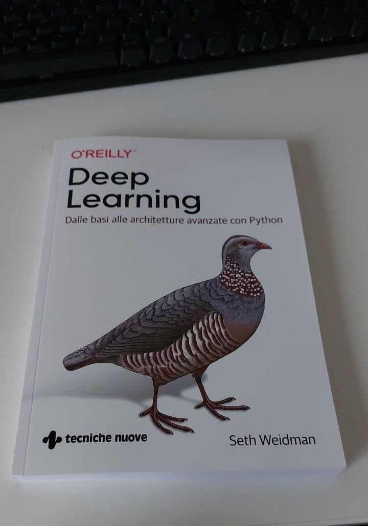 Deep learning. Dalle basi alle architetture avanzate con Python ...