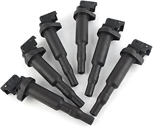 Amazon.com: 0221504470 Ignition Coil 6PCS 12138616153 12138657 ...