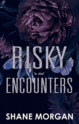 Risky Encounters: BWWM Romantic Suspense (Risks & Betrayals Duet Book 1 ...